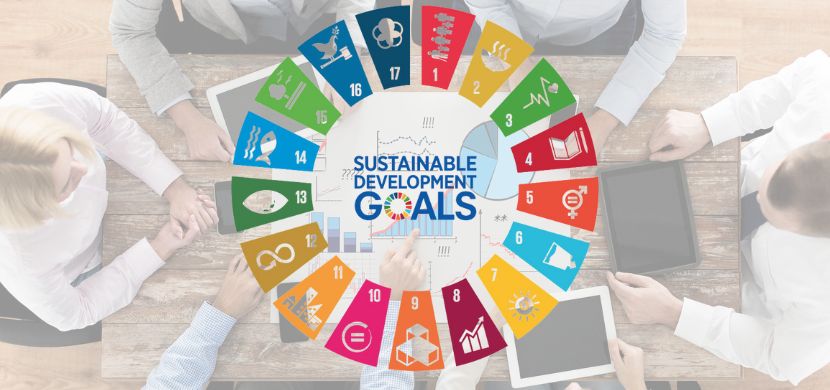 ODD : où en sont les entreprises ? - Youmatter