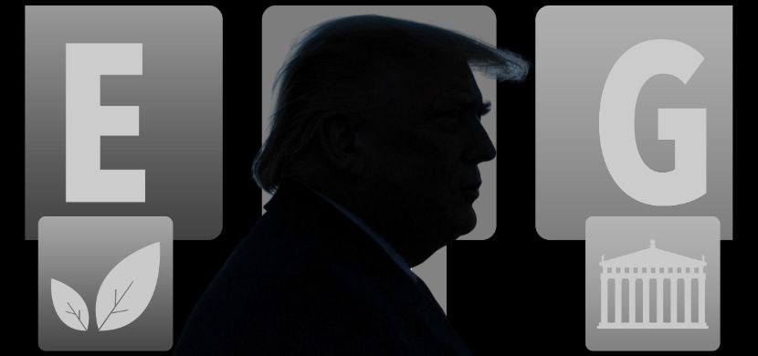 Donald Trump : quelle influence sur la finance durable et la RSE