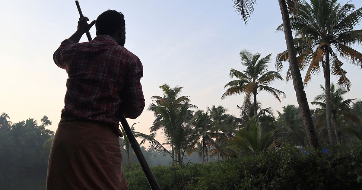What Is Ecotourism Definition Meaning And Examples Of Ecotourism